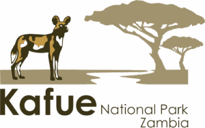 Kafue National Park - Visit Kafue